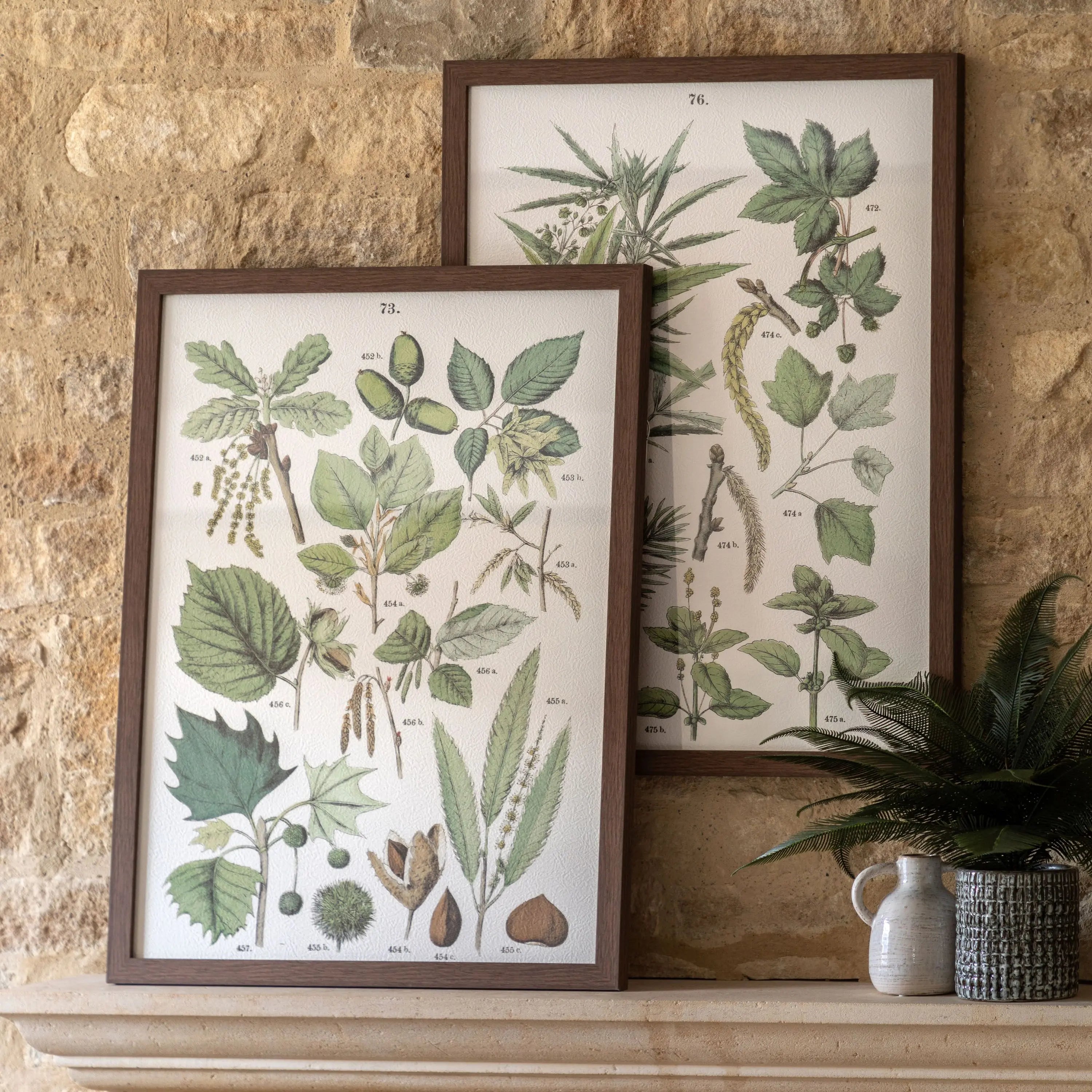 x2 Foliage Study Framed Art – Nest & Flowers USA