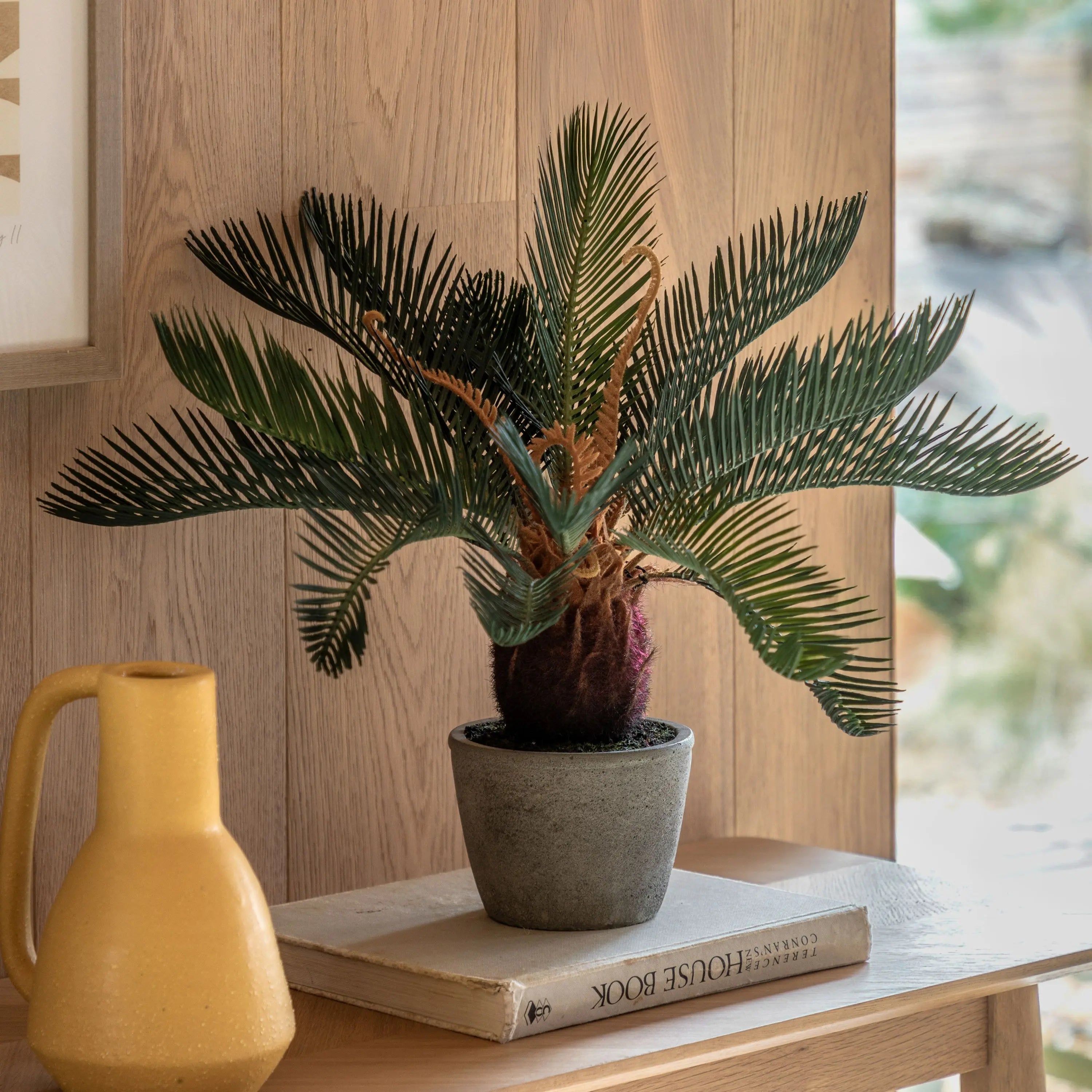 Wide Palm in Concrete Pot – Nest & Flowers USA