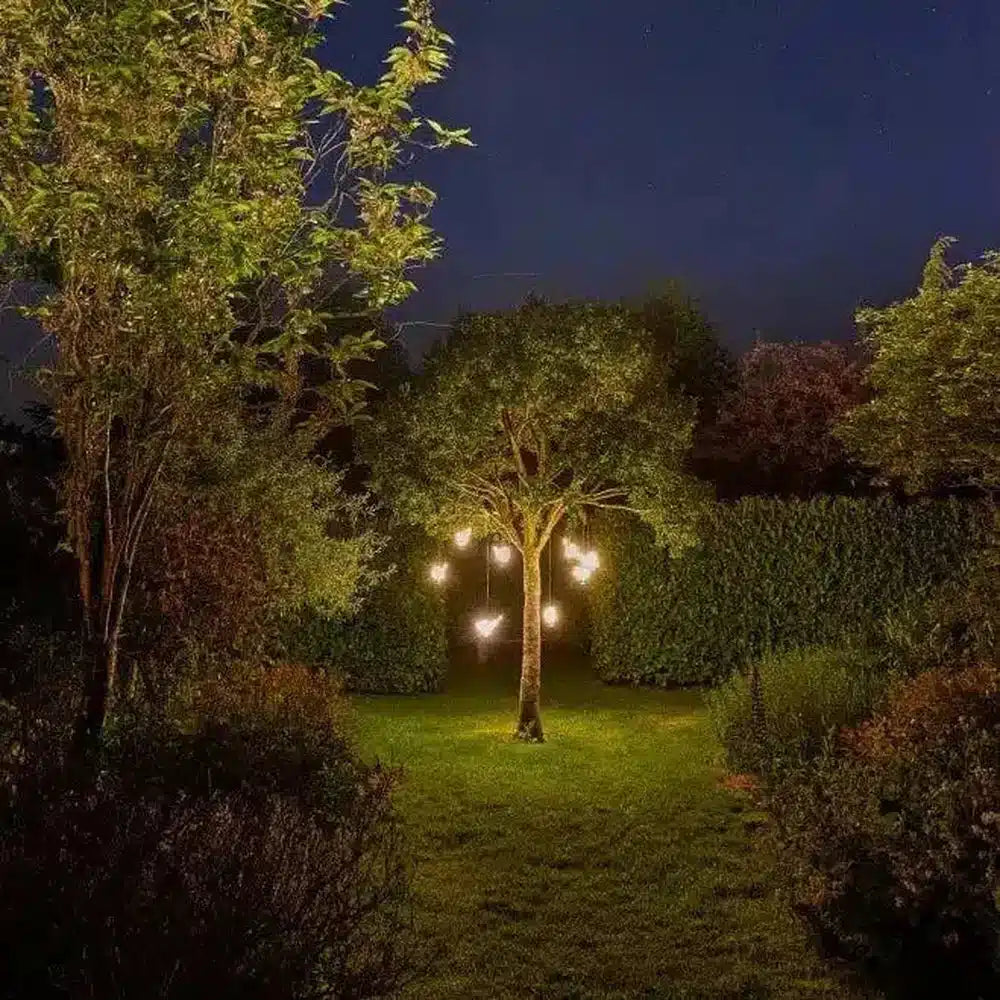 Hanging Robin Lights – Nest & Flowers USA