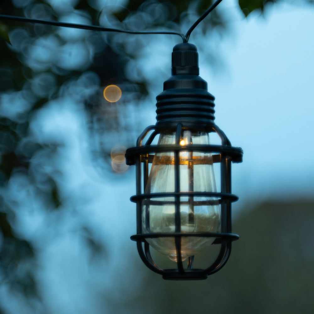 Elan Festoon Cage Solar Lights – Nest & Flowers USA