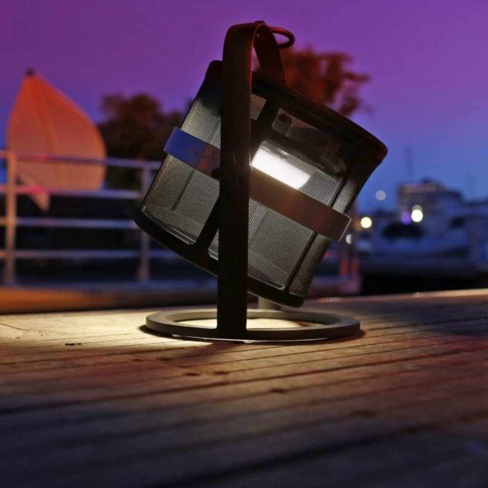 Solar Searchlight Black – Nest & Flowers USA